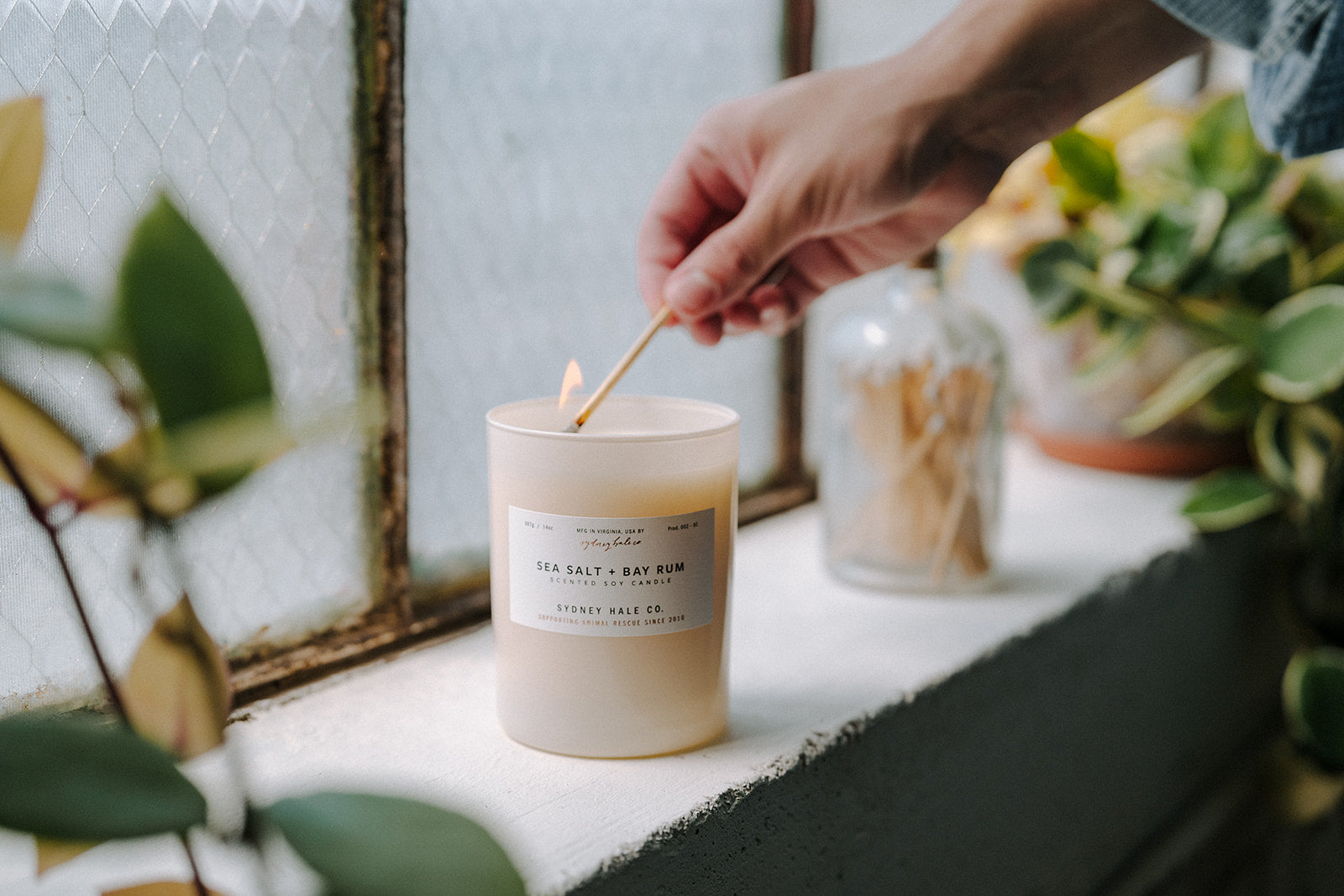 Sea Salt + Bay Rum – Sydney Hale Company